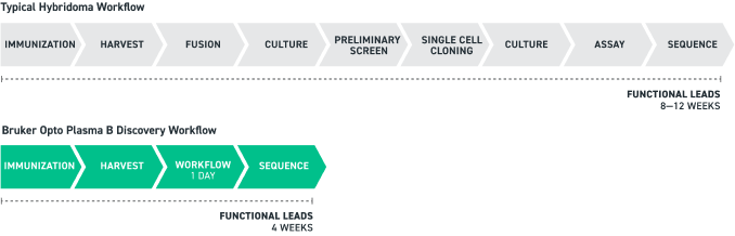 In Vivo Antibody Discovery | Twist Bioscience